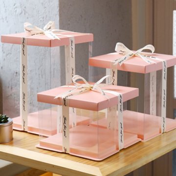 PLASTIC CAKE BOX
