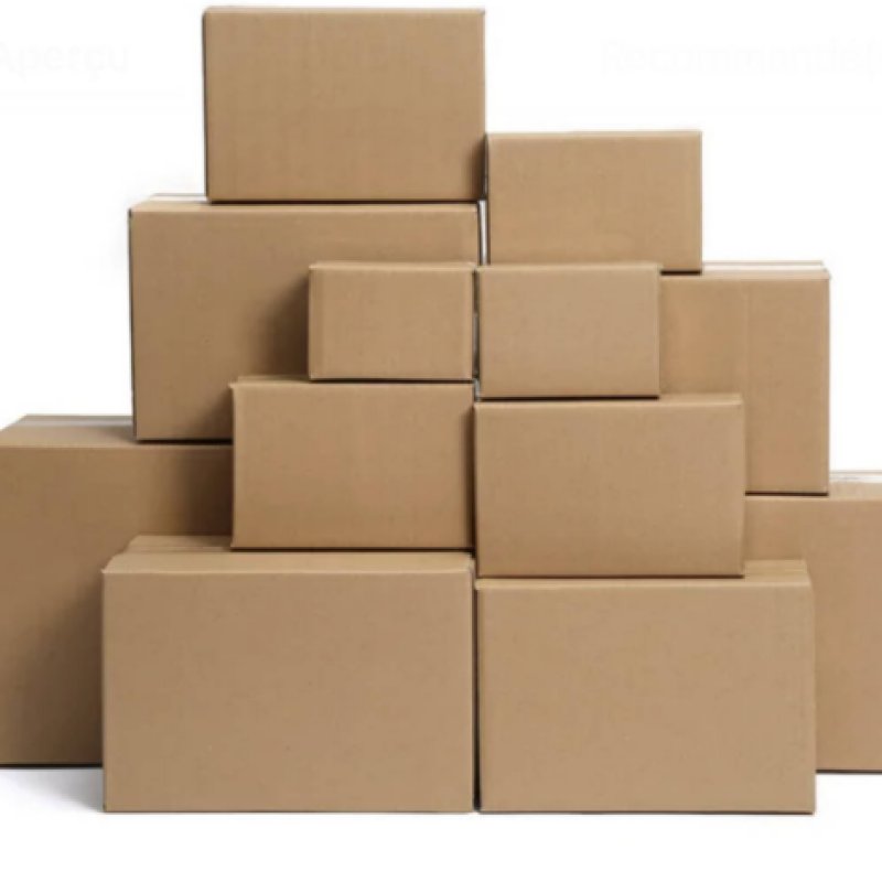 carton custom printed logo shipping box