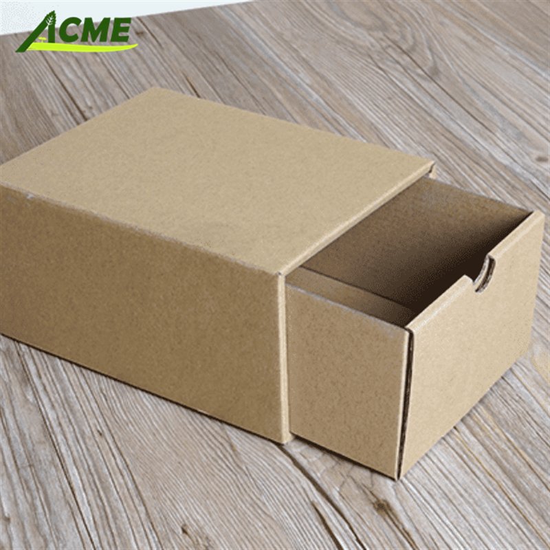 Corrugated cardboard shoe box
